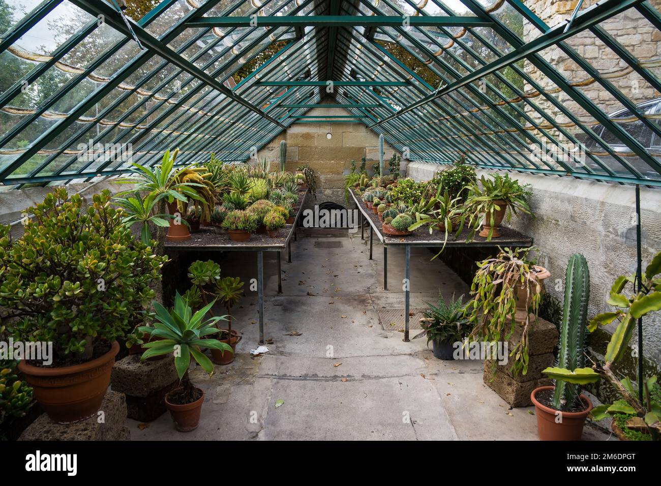 Botanical garden inside plants hi-res stock photography and images - Alamy