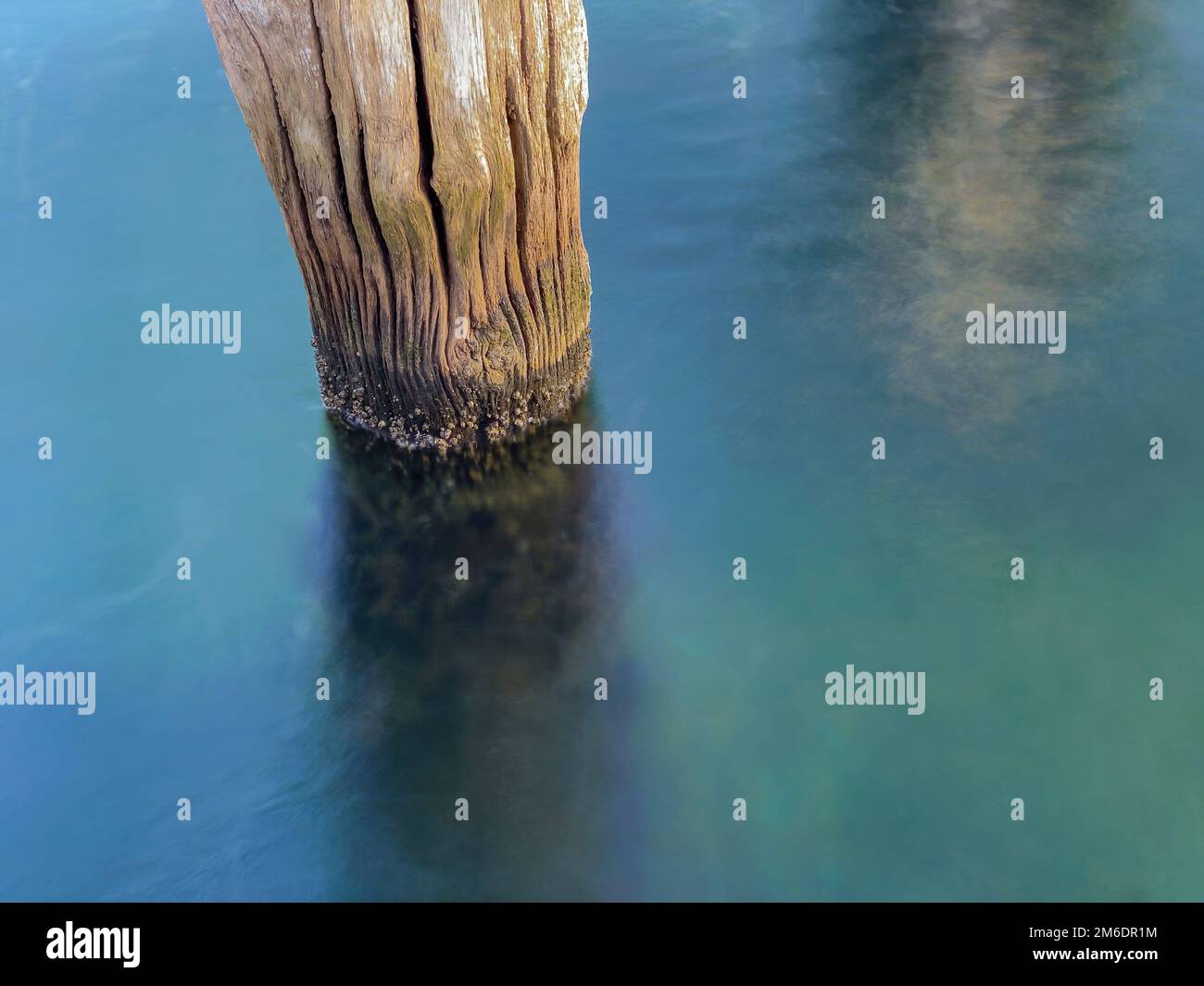 Wooden pole in the water Stock Photo - Alamy