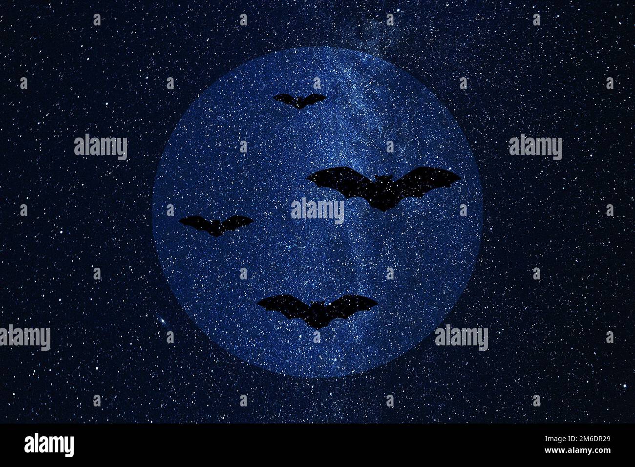 Flock of bats fly against background of night sky Stock Photo - Alamy