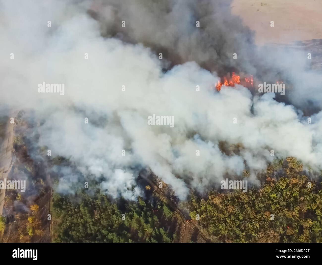 Forest fire, smoke of surrounding area. smoke and fire Stock Photo - Alamy