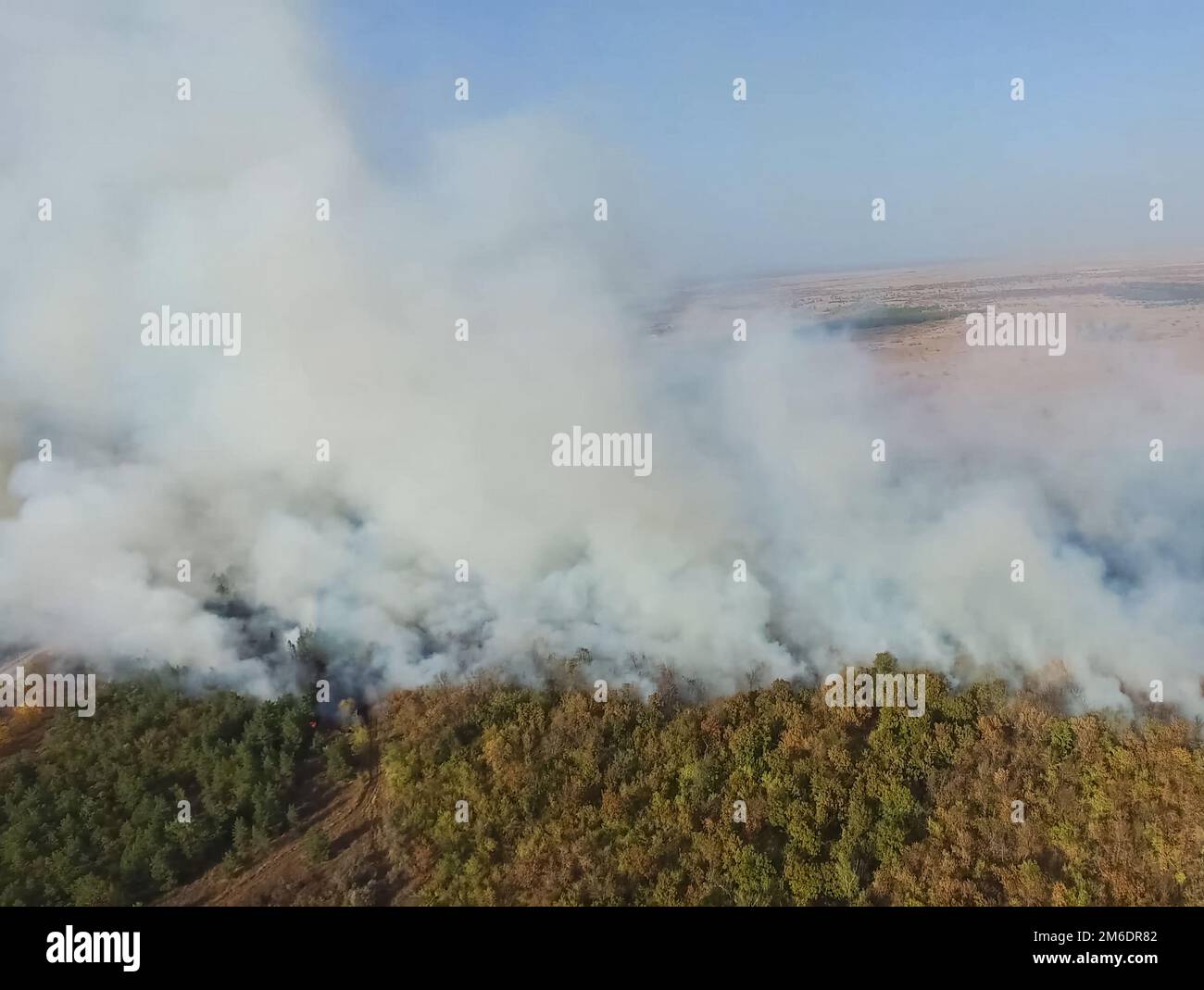 Forest fire smoke hi-res stock photography and images - Alamy