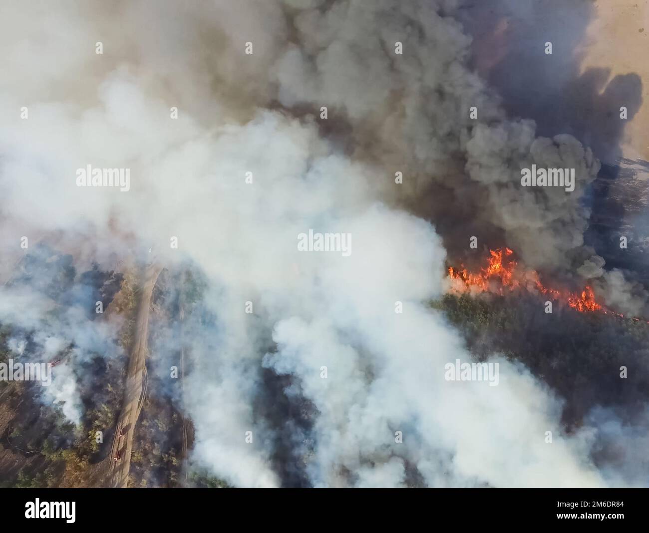 Forest fire, smoke of surrounding area. smoke and fire Stock Photo - Alamy