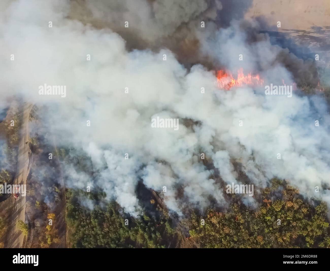 Forest fire, smoke of surrounding area. smoke and fire Stock Photo - Alamy