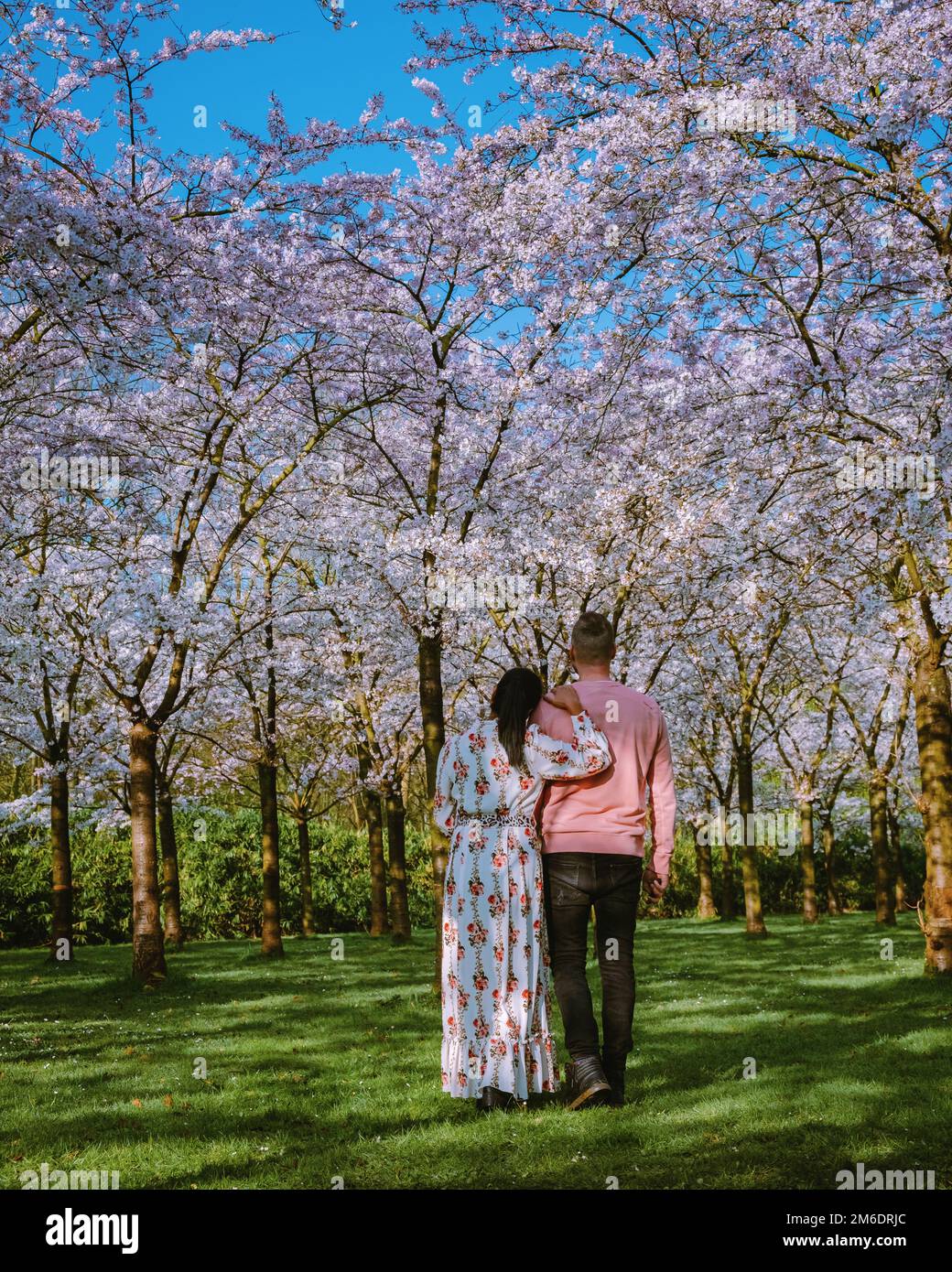 A couple picnic in the park during Spring in Amsterdam Netherlands, a ...
