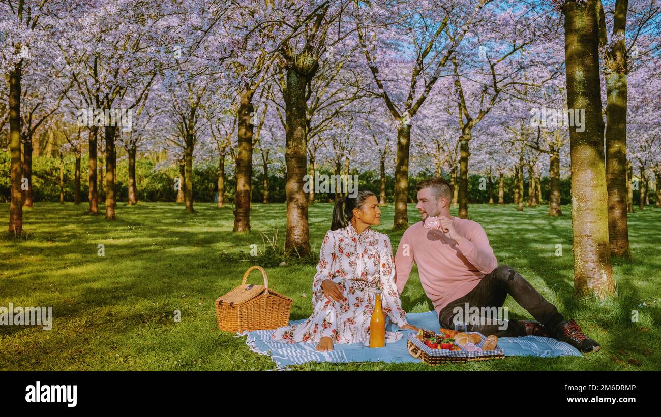 A couple picnic in the park during Spring in Amsterdam Netherlands, a ...