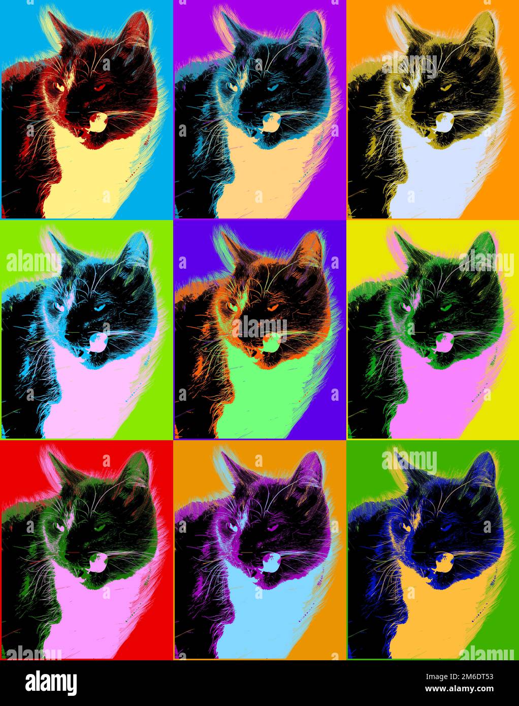 Poster with cat in pop art style Stock Photo - Alamy