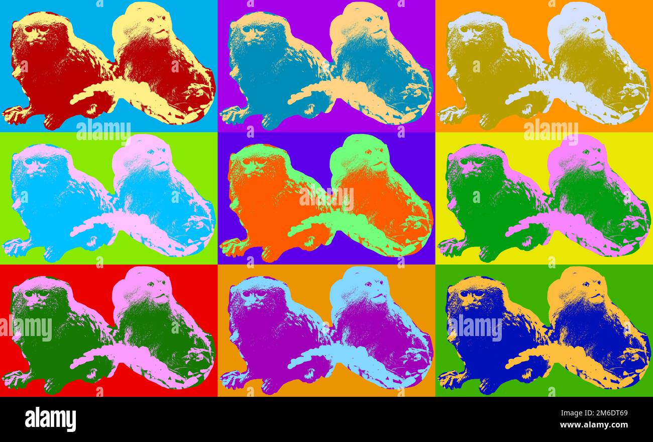 Poster with pygmy monkeys in pop art style Stock Photo - Alamy