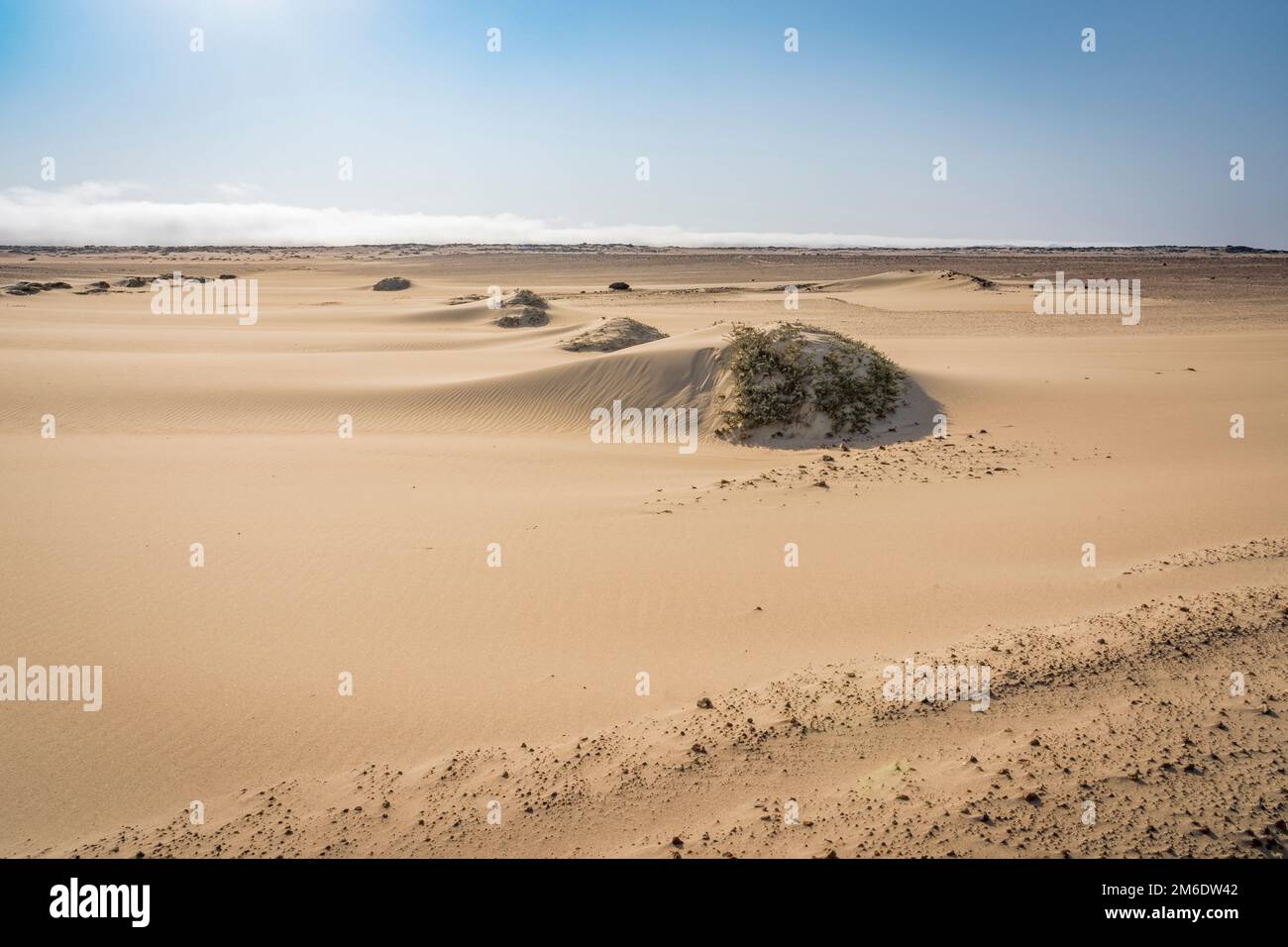 View of the Skeleton Coast desert dunes in Namibia, Africa Stock Photo ...