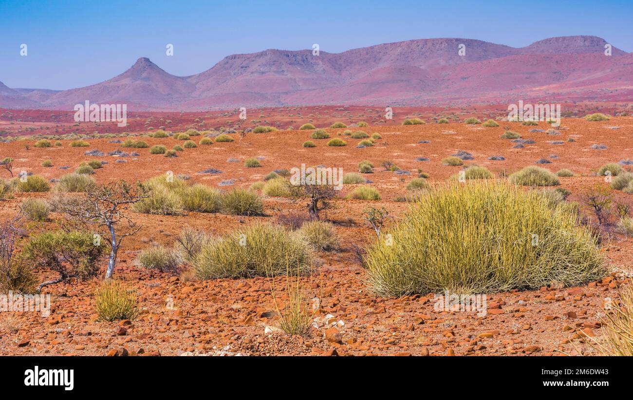 Scenic view of the Palmwag Concession Area in Namibia Stock Photo - Alamy