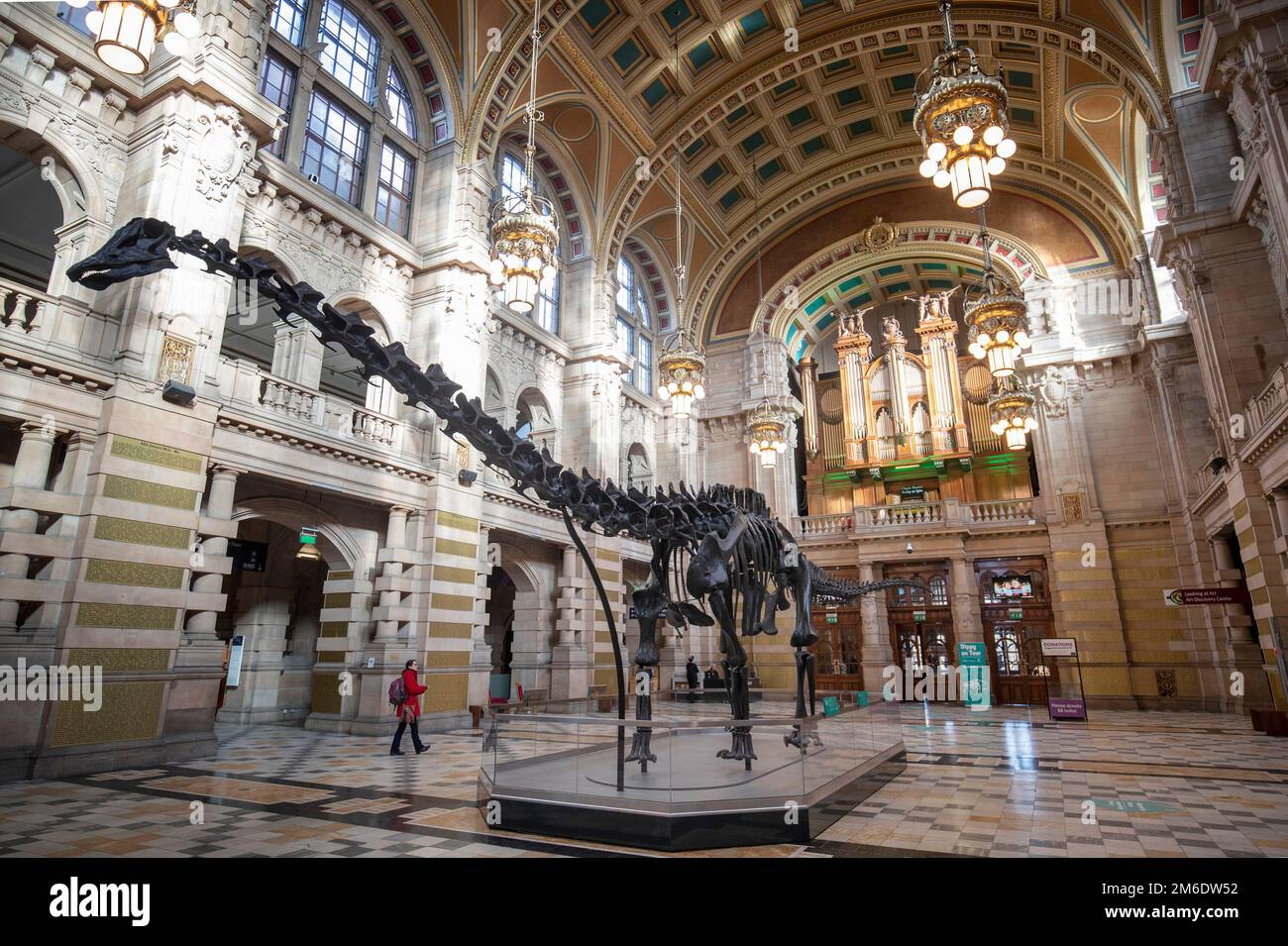 File photo dated 22/01/19 of Dippy, the Natural History Museum London's ...