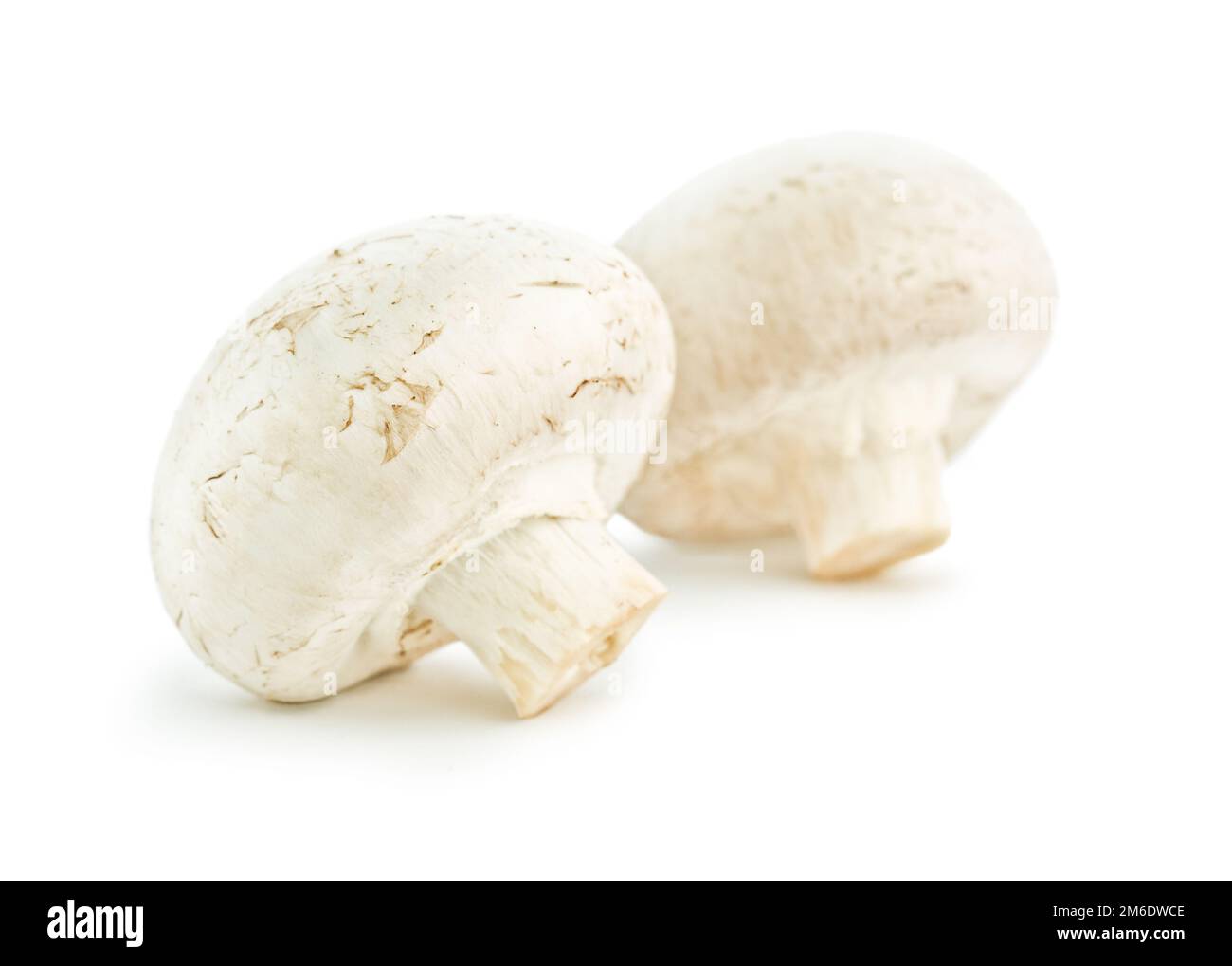 Champignons image hi-res stock photography and images - Alamy