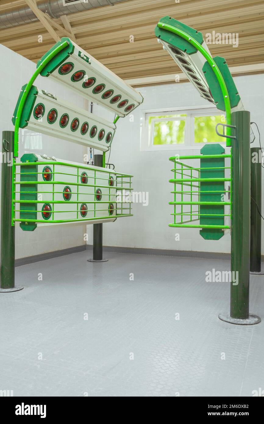 Solarium horse hi-res stock photography and images - Alamy