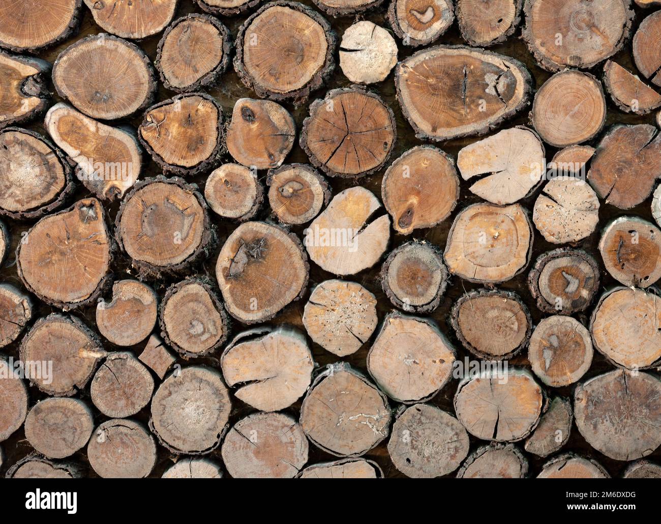 Logs for construction material hi-res stock photography and images - Alamy