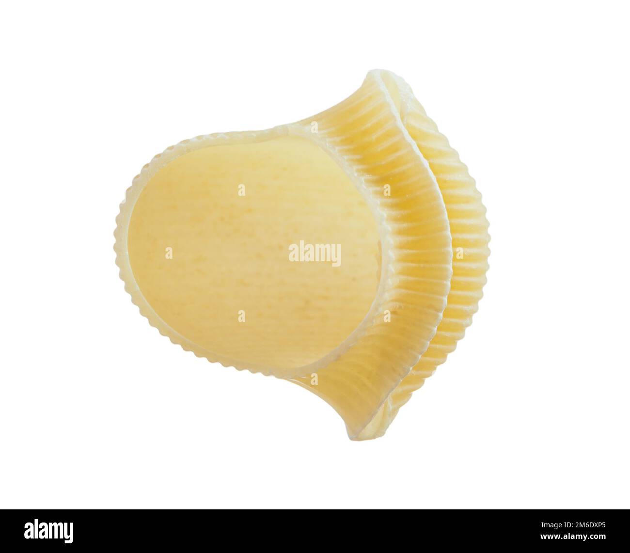 Pasta shell isolated on white Stock Photo - Alamy