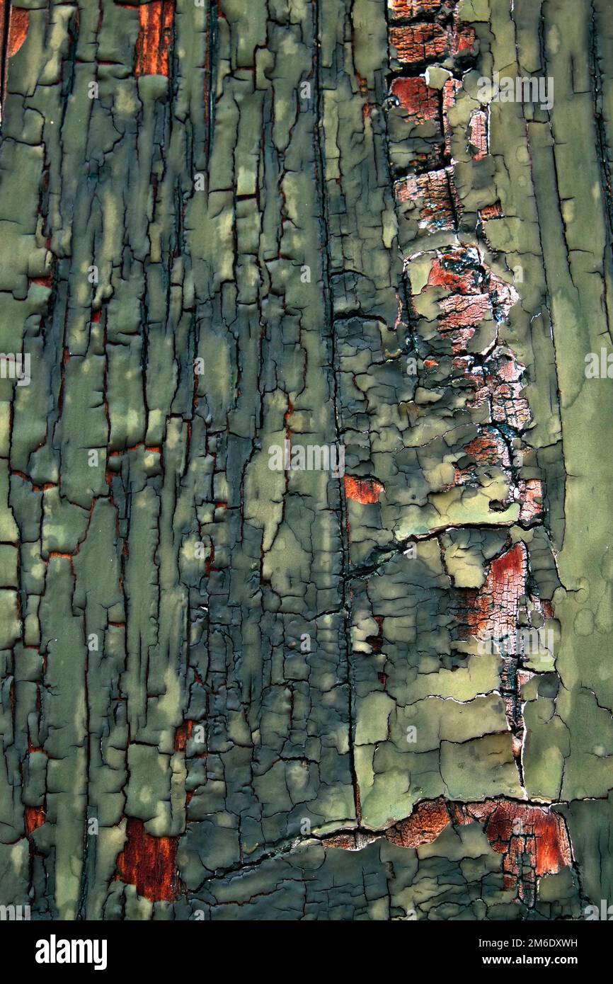 Flaking hi-res stock photography and images - Alamy