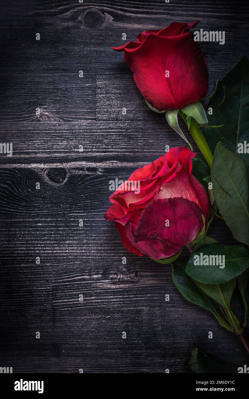 Red natural bloomed roses on wooden background holidays concept Stock ...