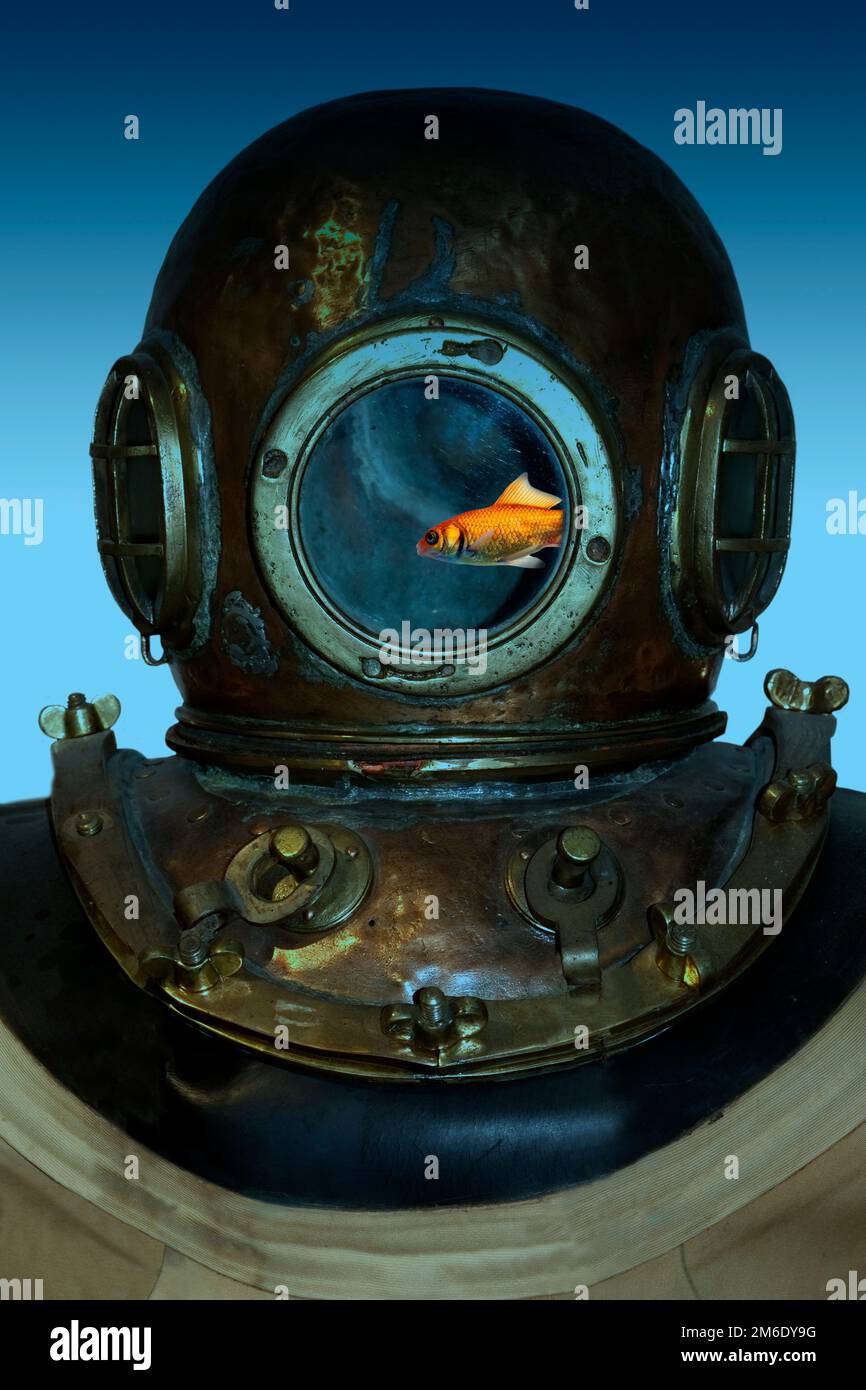 Diving helmet with a goldfish Stock Photo - Alamy