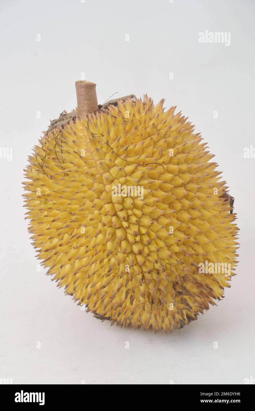 Elai, tropical fruits like durian fruit Stock Photo - Alamy