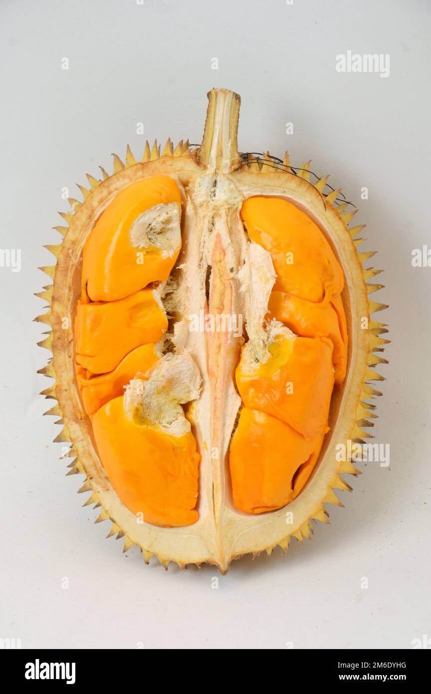 Elai, tropical fruits like durian fruit Stock Photo - Alamy