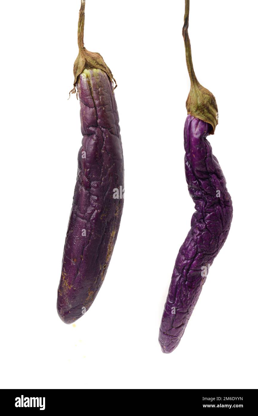 Eggplant mold hi-res stock photography and images - Alamy