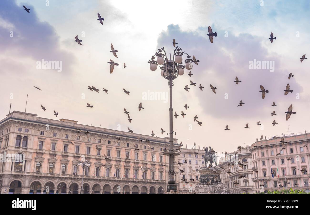 Pigeons in Piazza del Duomo in Milan, Italy Stock Photo - Alamy