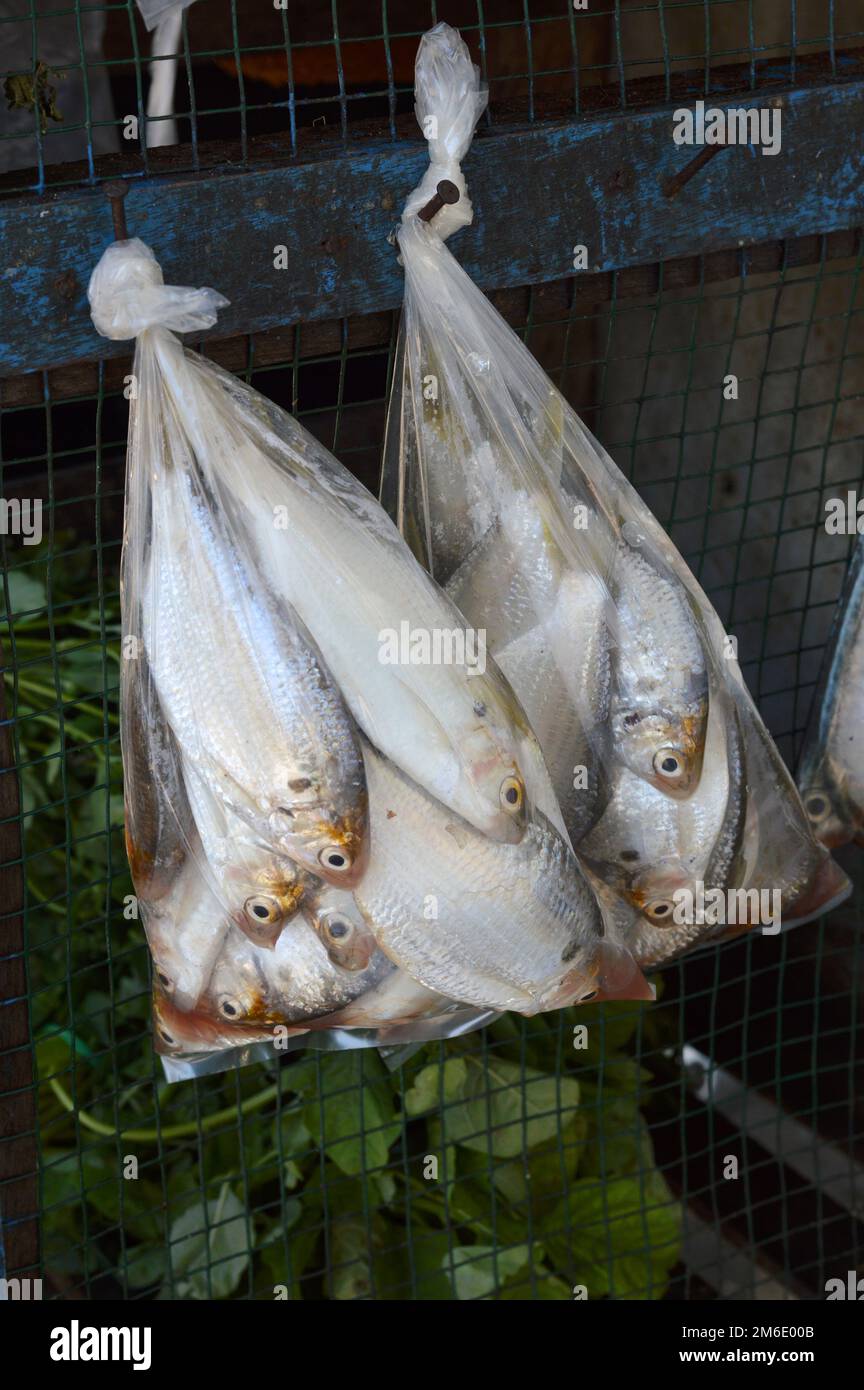 Sold fish hi-res stock photography and images - Alamy
