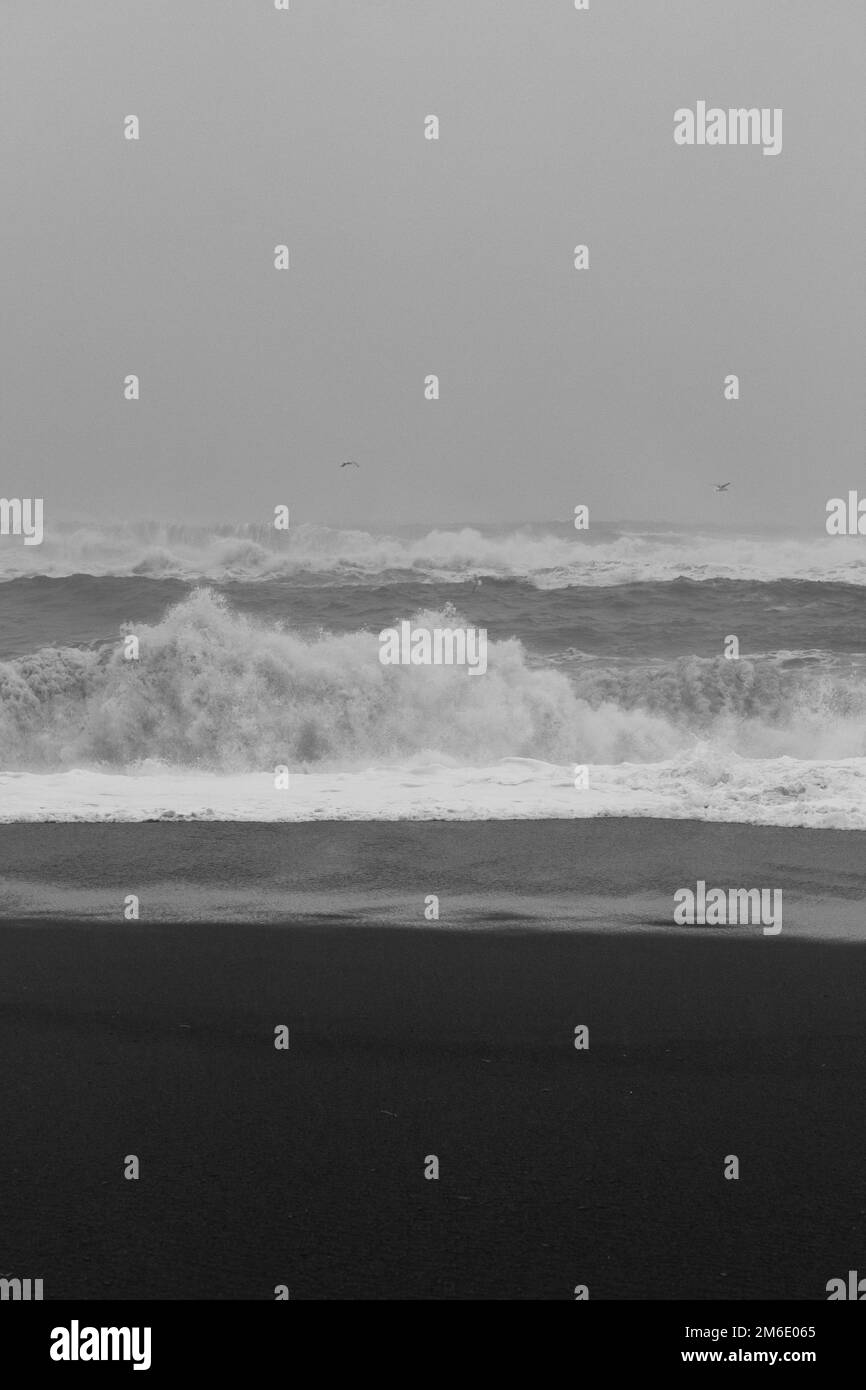 Ocean wave rolling on beach monochrome landscape photo Stock Photo - Alamy