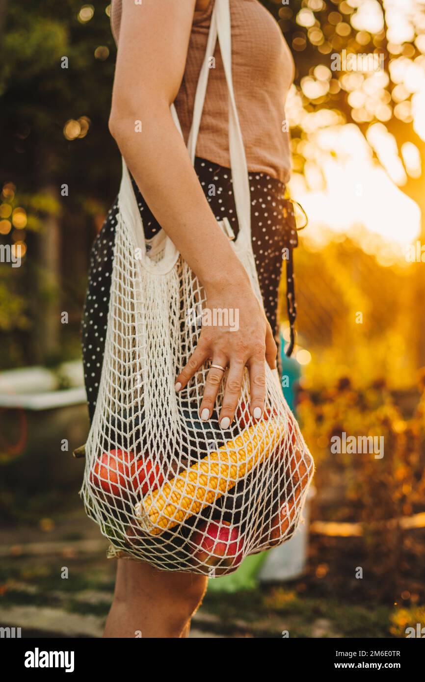 Carry on arm hi-res stock photography and images - Alamy