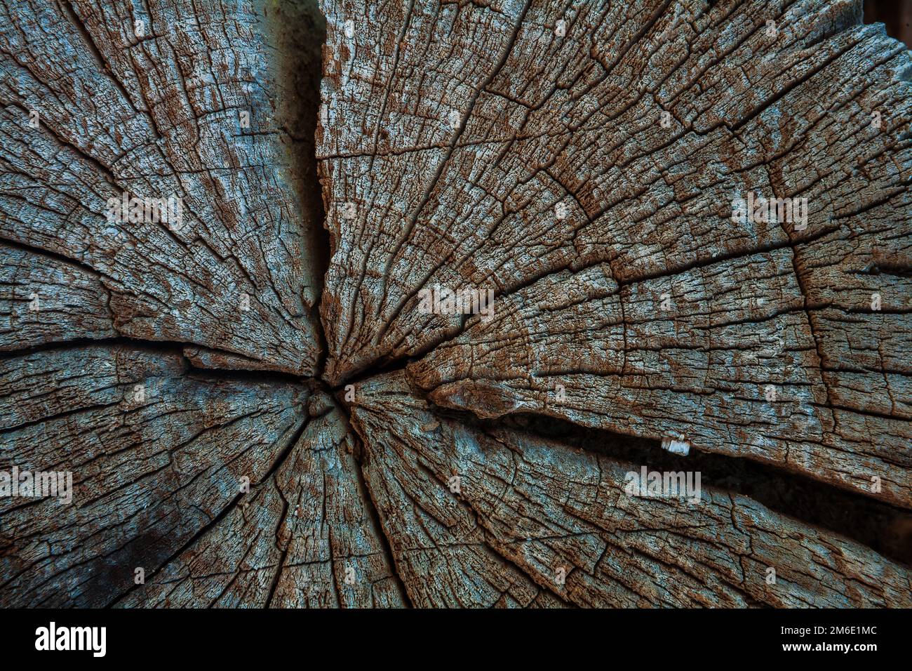 cut down of old cracked wooden board Stock Photo - Alamy