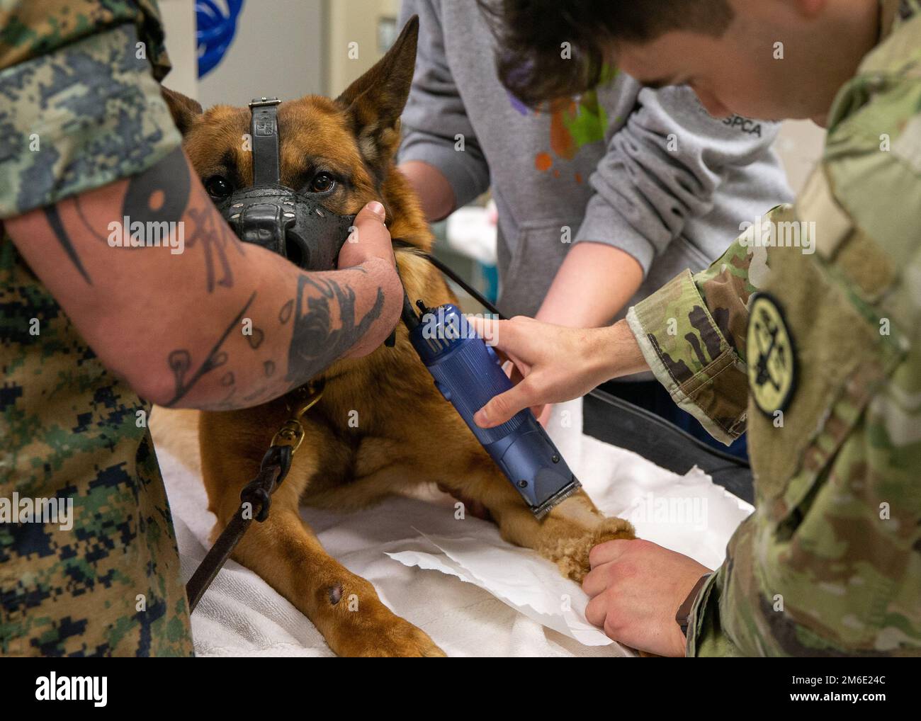 Undergo processing hi-res stock photography and images - Alamy