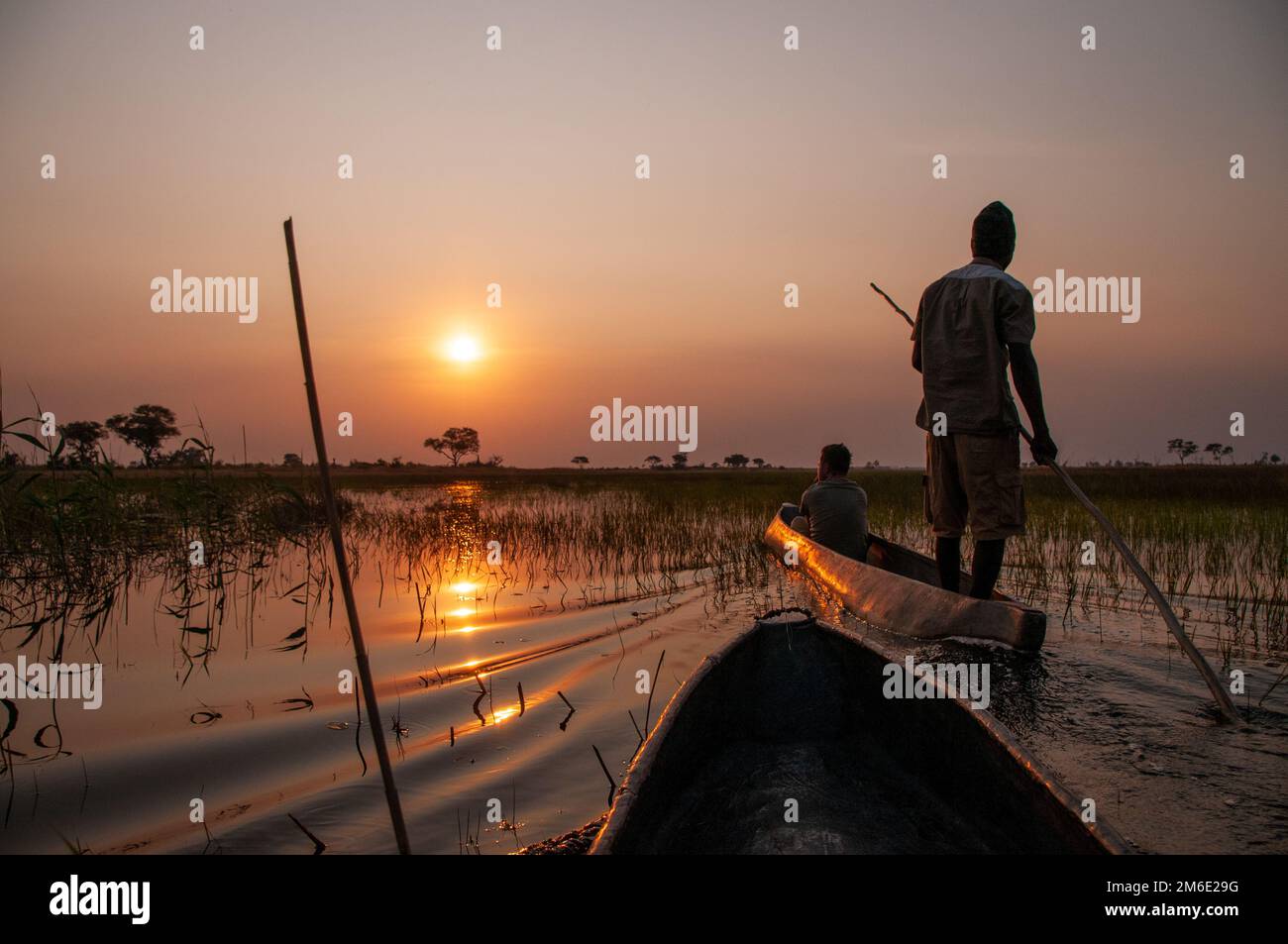 Okavango Delta, Namibia. August 3, 2022. Two mokoro, traditional boats ...