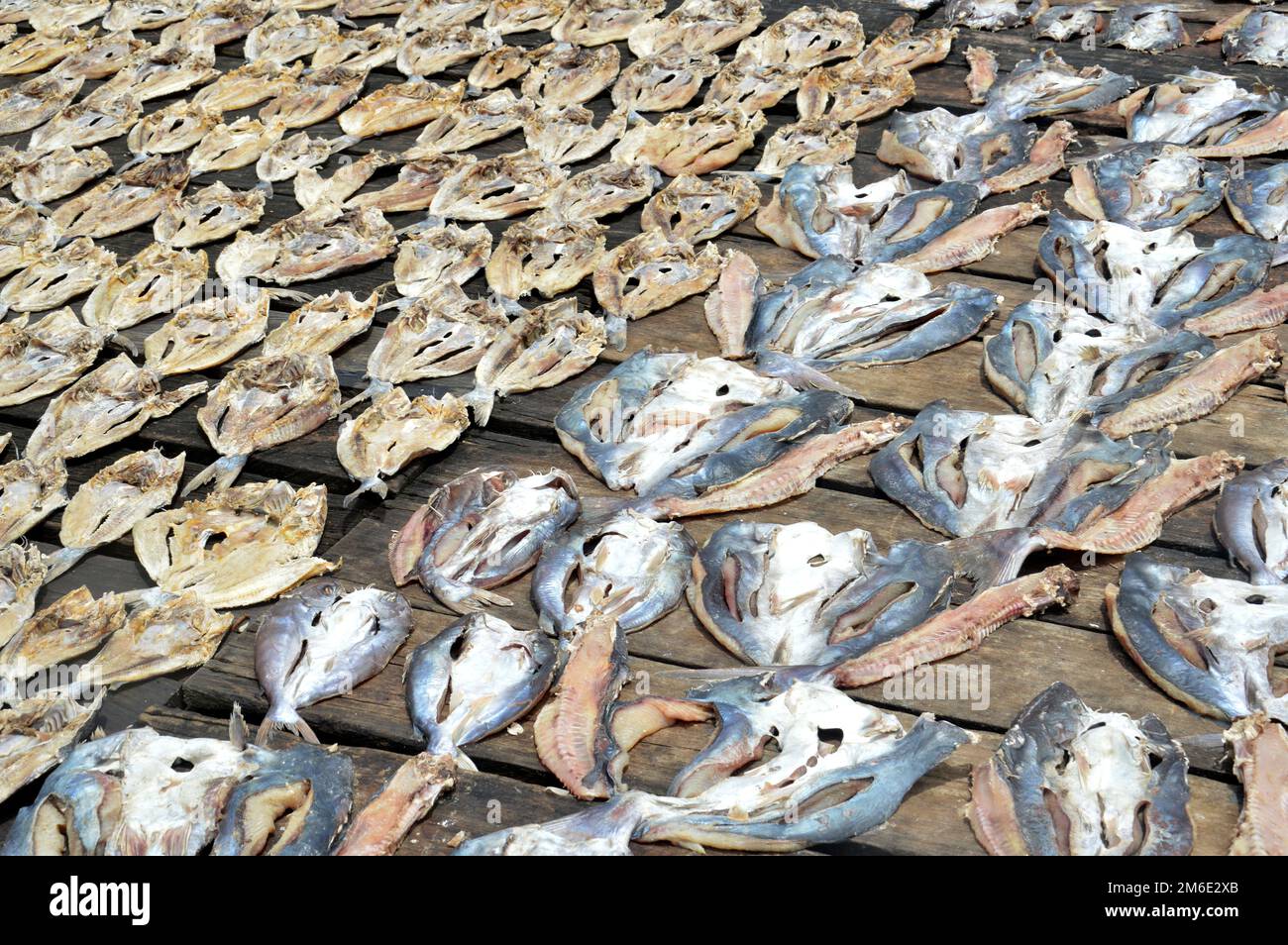 Fishs fin hi-res stock photography and images - Alamy