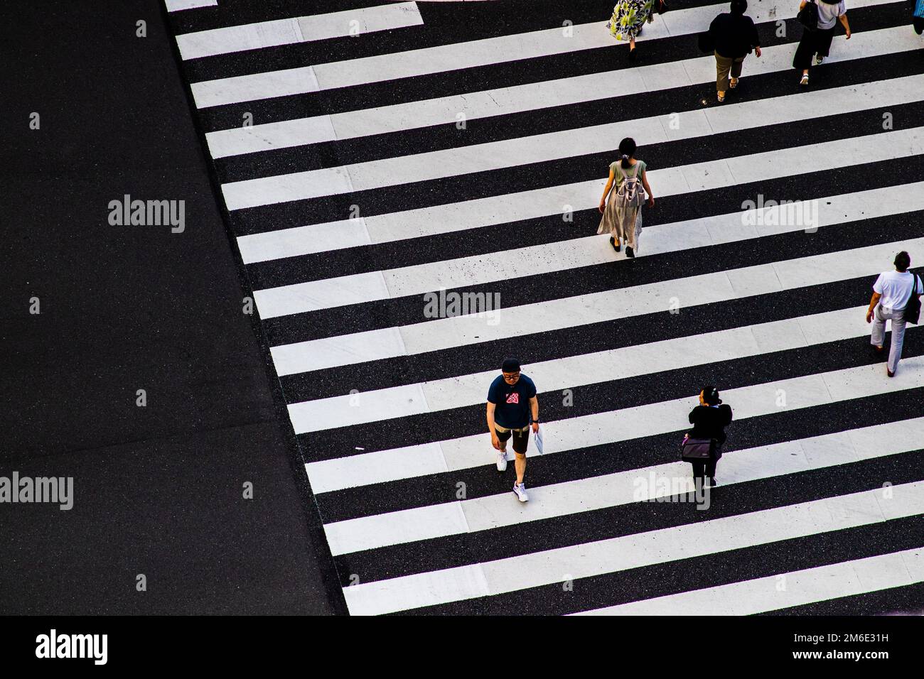 Tokyo, Japan - 9 8 19: People crossing a zebra crossing, seen from ...