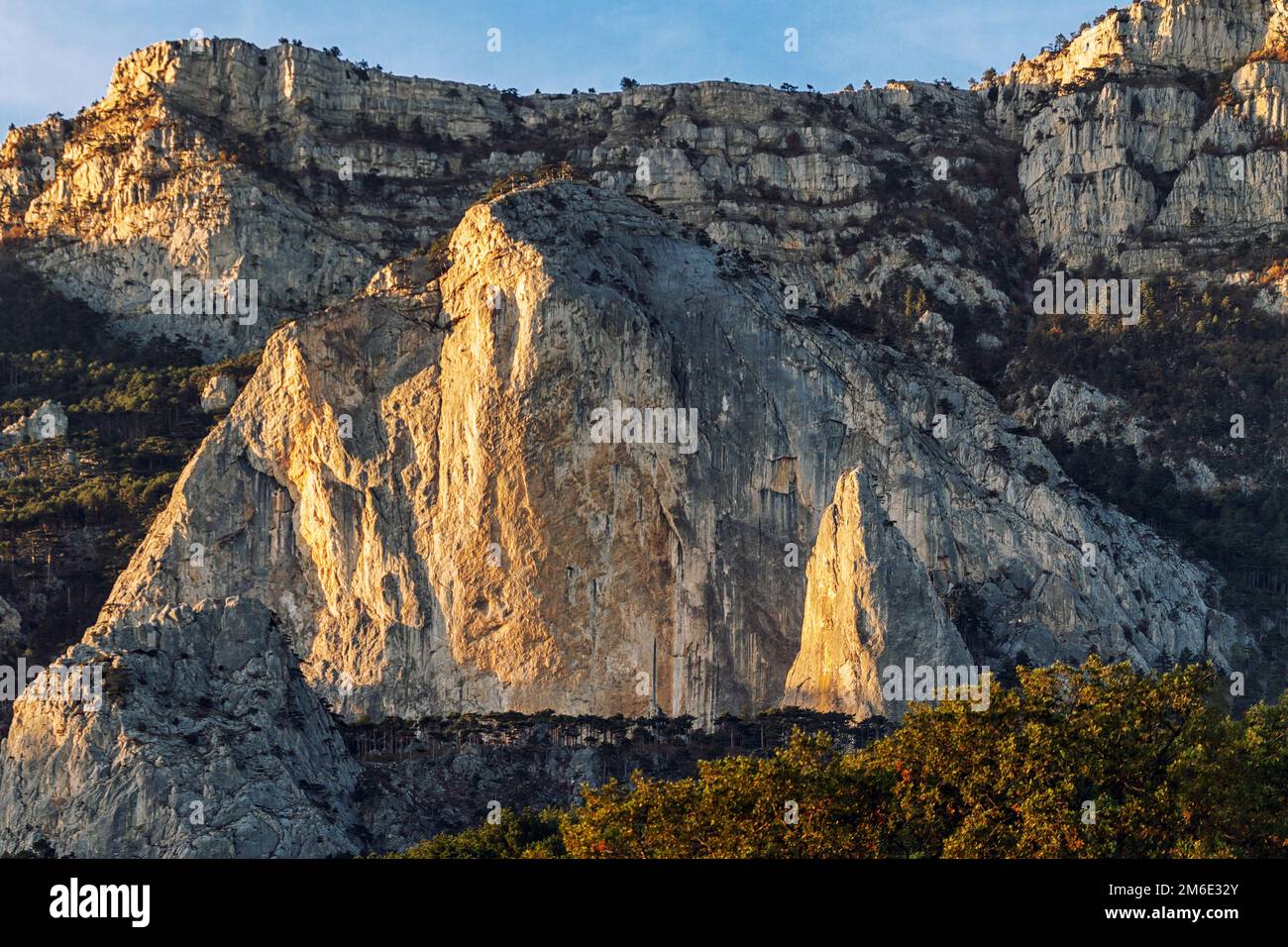 Crimean forest hi-res stock photography and images - Alamy