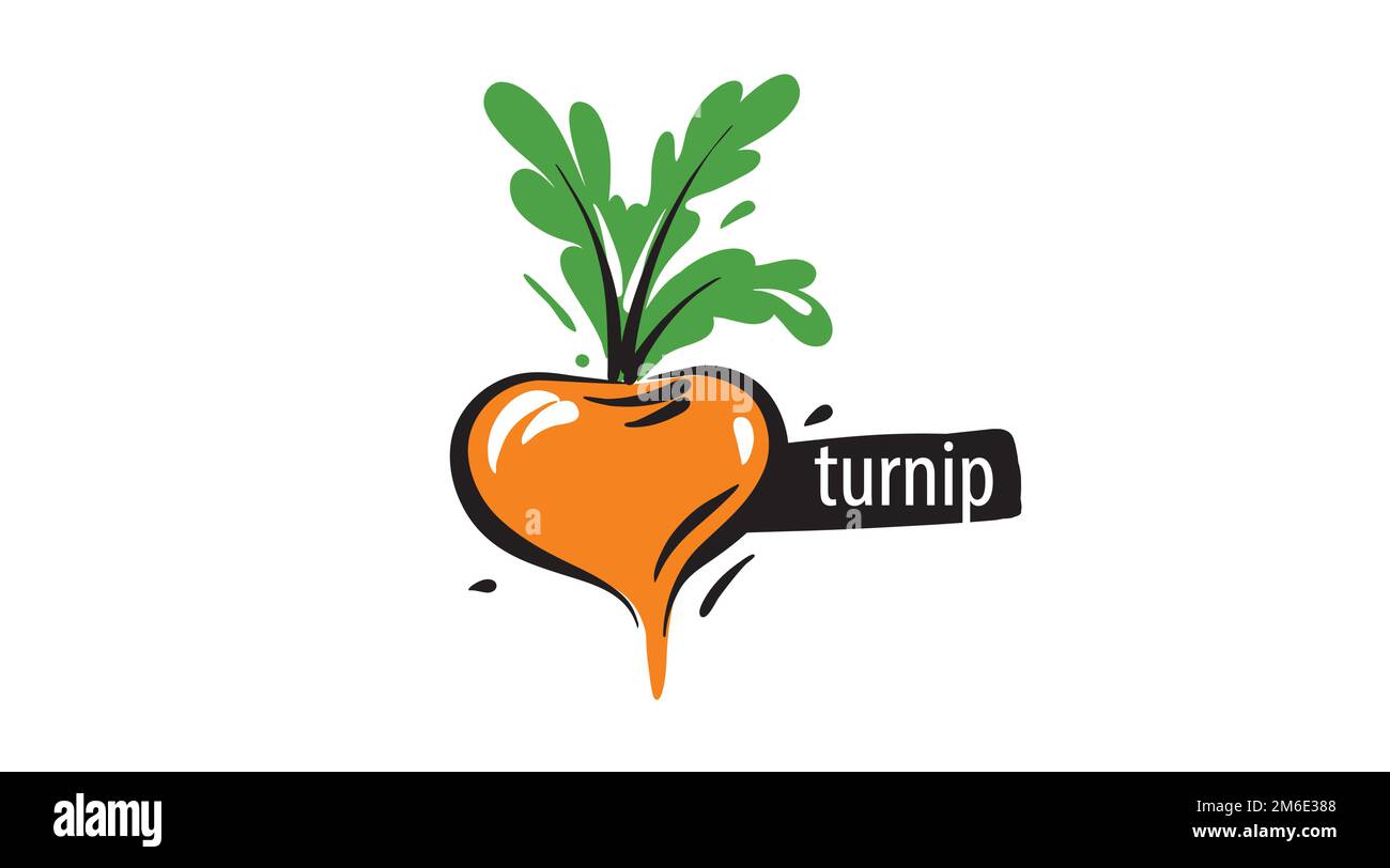 Drawn turnip isolated on a white background Stock Vector Image & Art ...