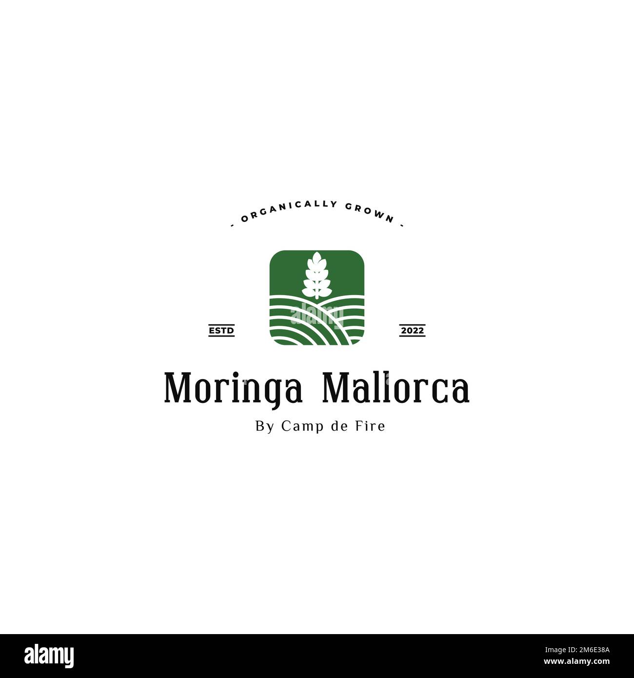Moringa tea illustration hi-res stock photography and images - Alamy