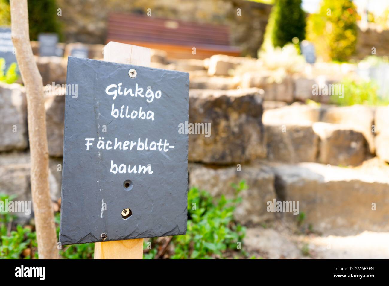 Slat sign with information of the plant in the garden Stock Photo - Alamy