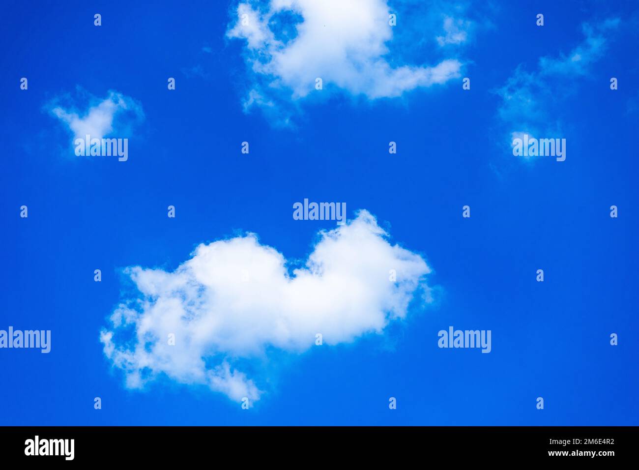 Ecological levels hi-res stock photography and images - Alamy