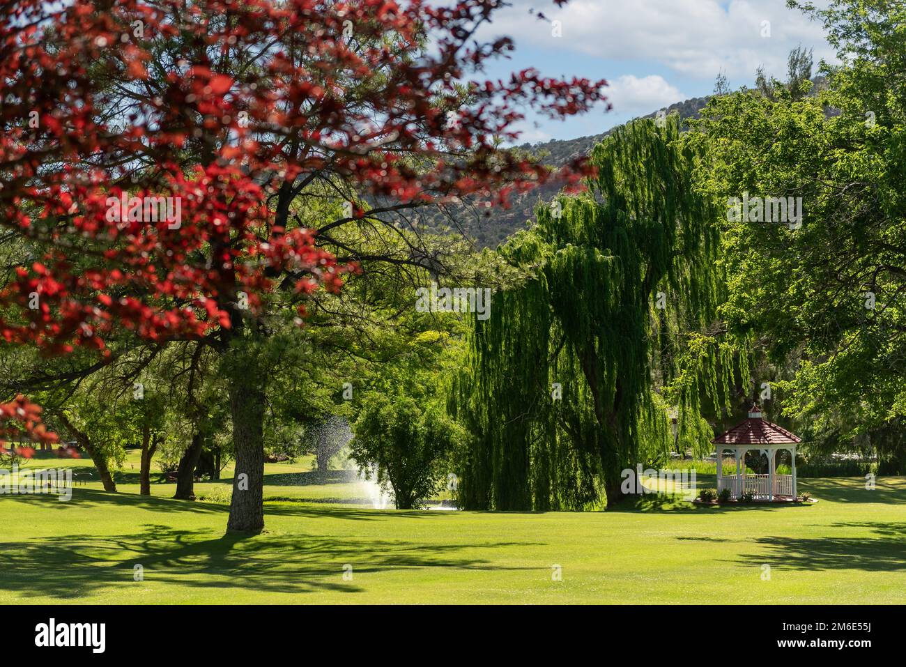 A red gazebo on a green lawn with trees on a sunny day Stock Photo - Alamy
