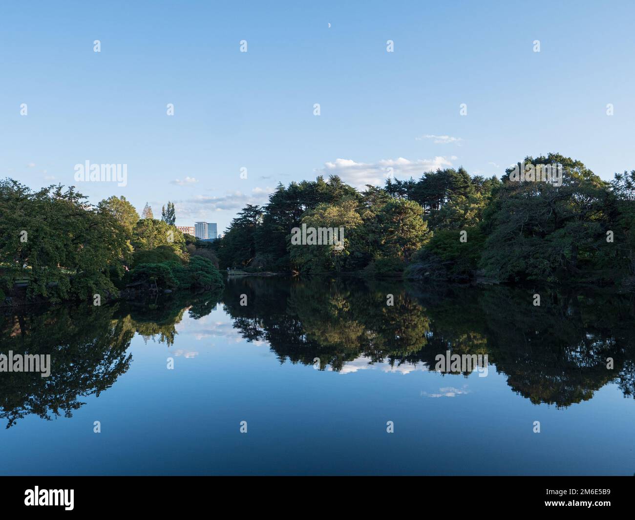 Tokyo, Japan - 17.11.19: The large ponds in Shinjuku Gyoen Stock Photo ...