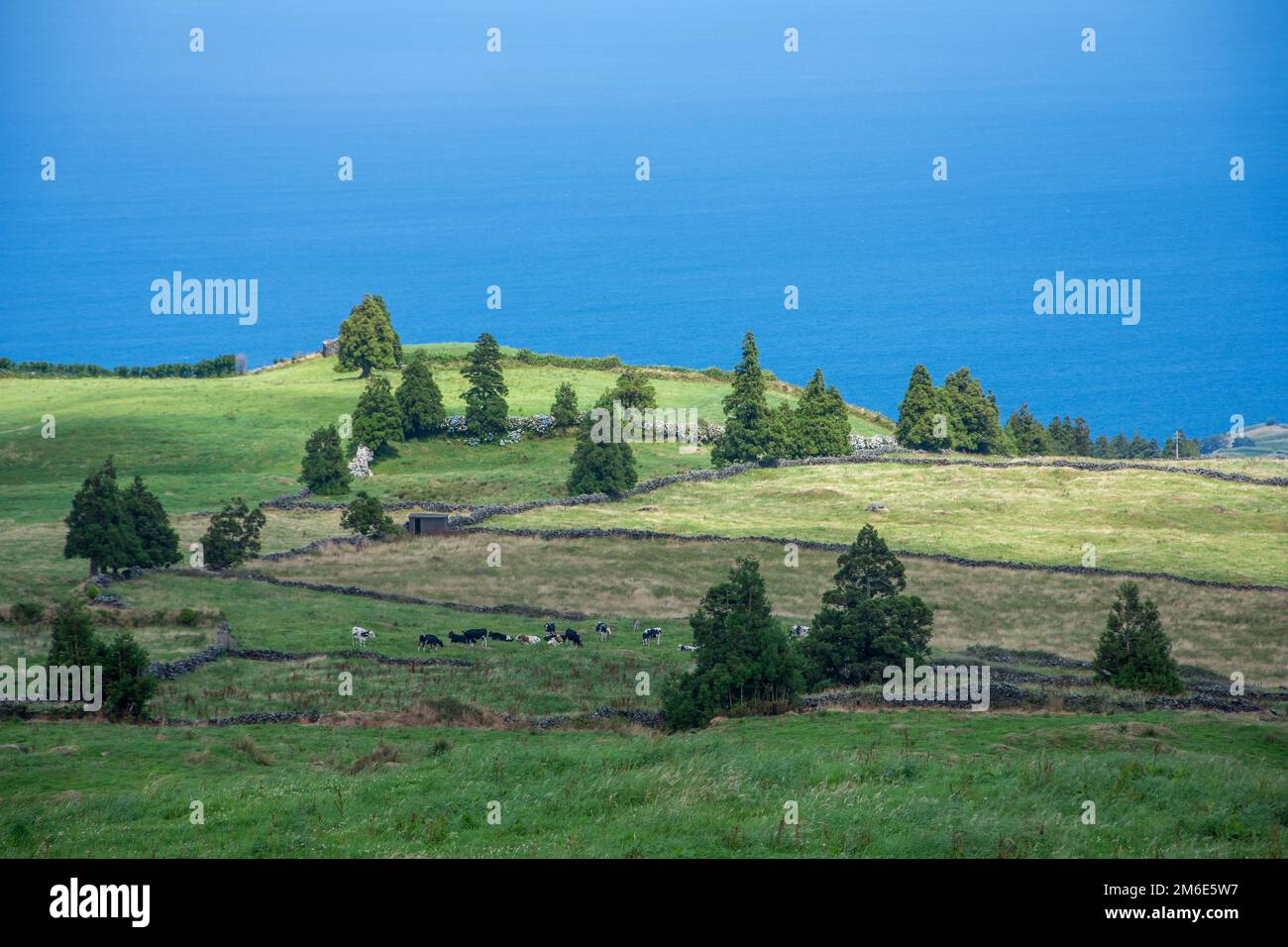 Walk on the Azores archipelago. Discovery of the island of Sao Miguel ...