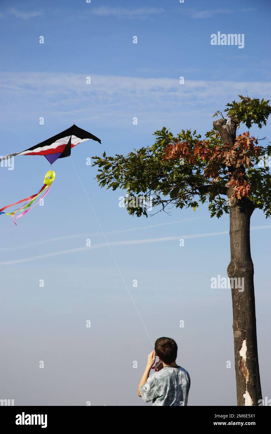 Flying a kite under a blue sky next to a tree Stock Photo - Alamy