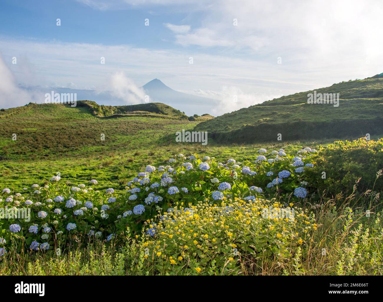Walk on the Azores archipelago. Discovery of the island of sao jorge ...