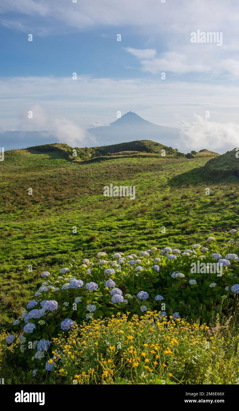 Walk on the Azores archipelago. Discovery of the island of sao jorge ...