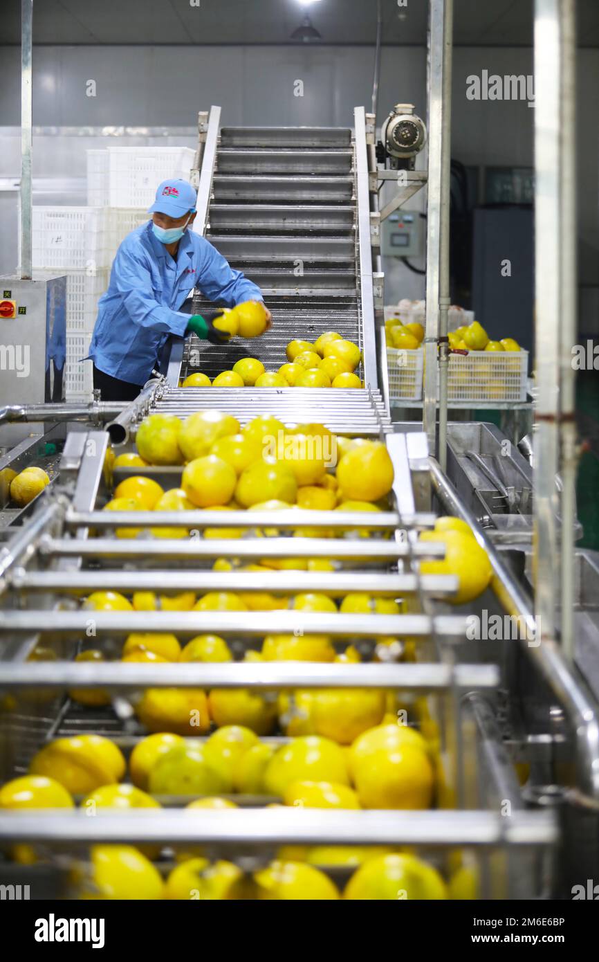 CHONGQING, CHINA - JANUARY 4, 2023 - Workers work on a production line ...