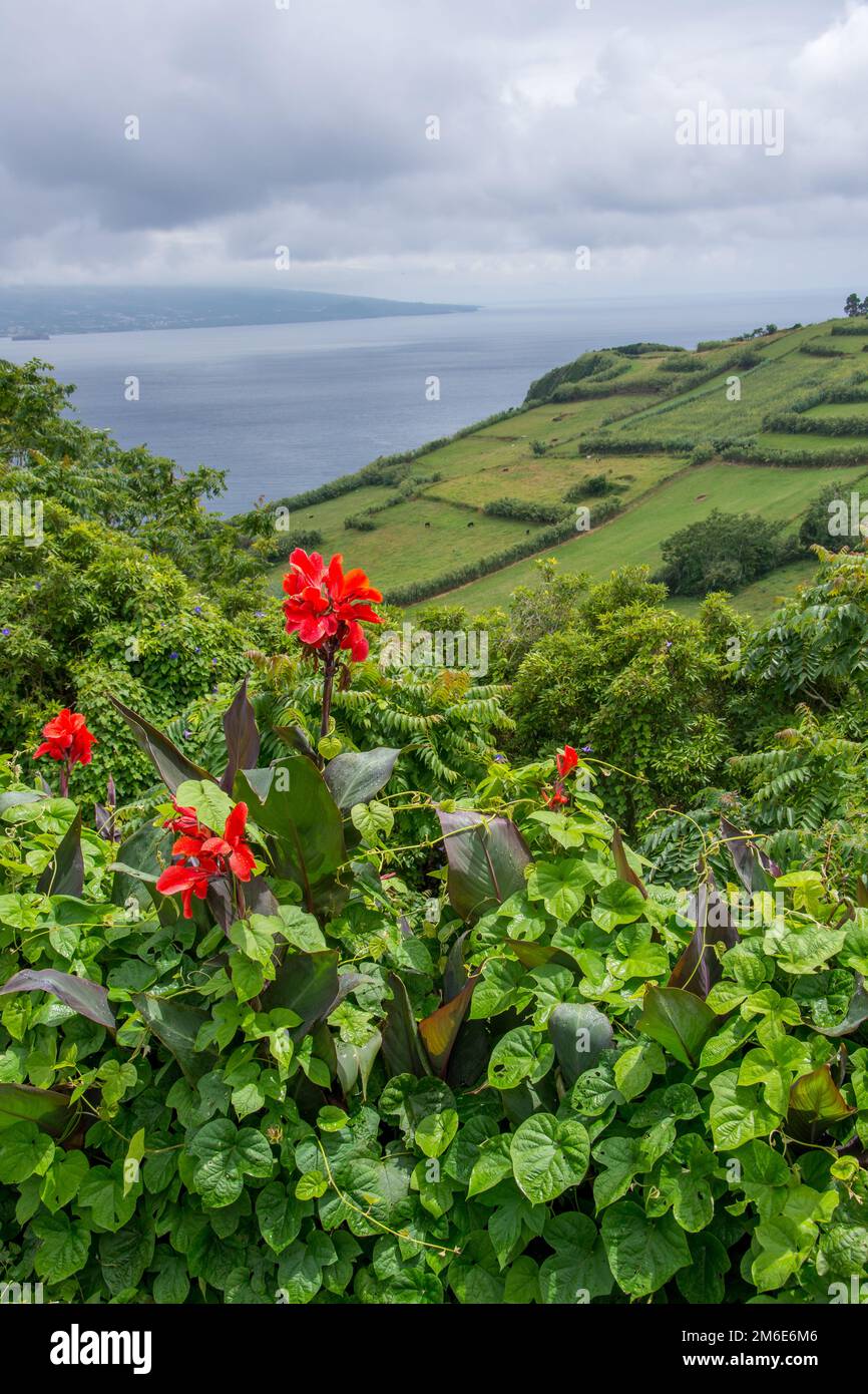 Walk on the Azores archipelago. Discovery of the island of Faial ...