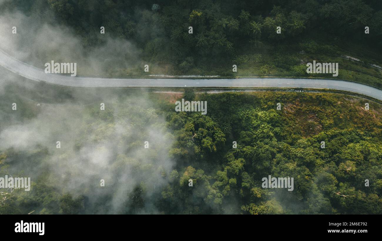Road through the green rainforest. Aerial top view forest on misty fog ...