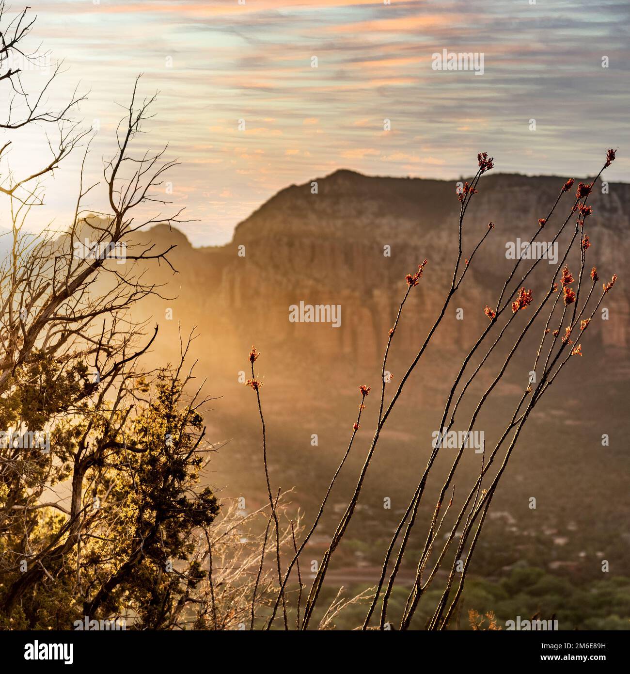 Aerial sun city arizona hi-res stock photography and images - Alamy