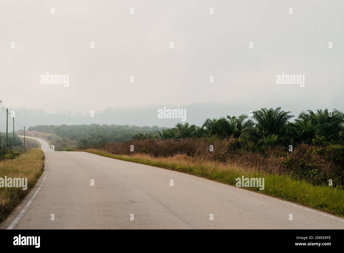 Top view tea plantation highway hi-res stock photography and images - Alamy