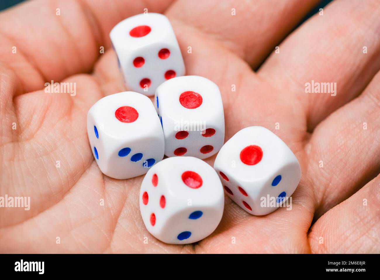 Close up view on dice on the palm. Yahtzee is a dice game. All five ...